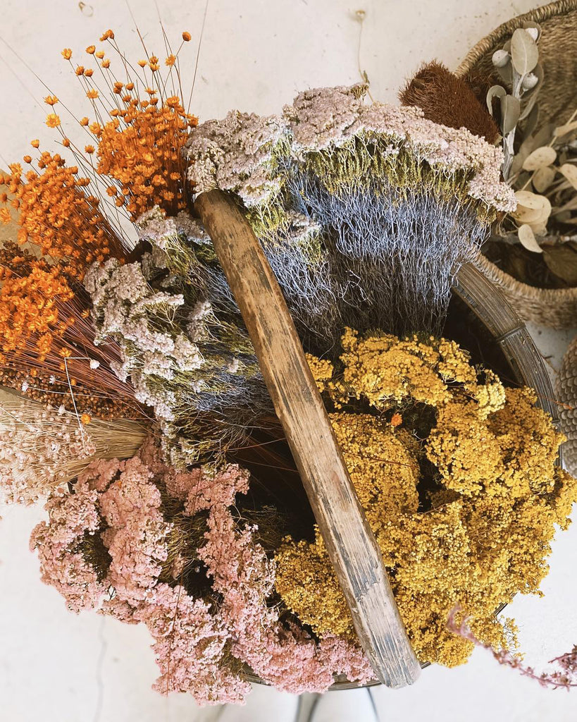 Tallow & Tide Conscious Collective